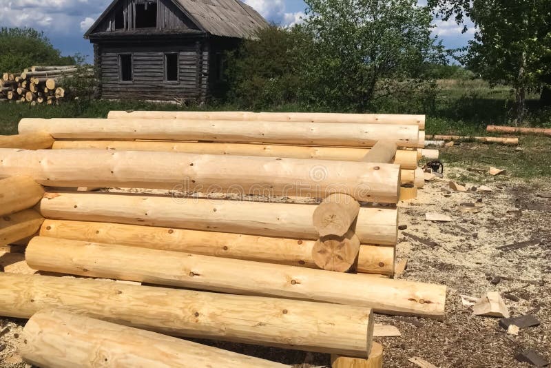 Drying and Assembly of Wooden Log House at a Construction Base Stock ...