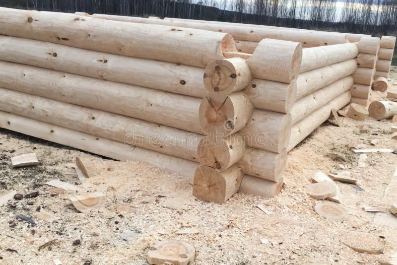Drying and Assembly of Wooden Log House at a Construction Base Stock ...