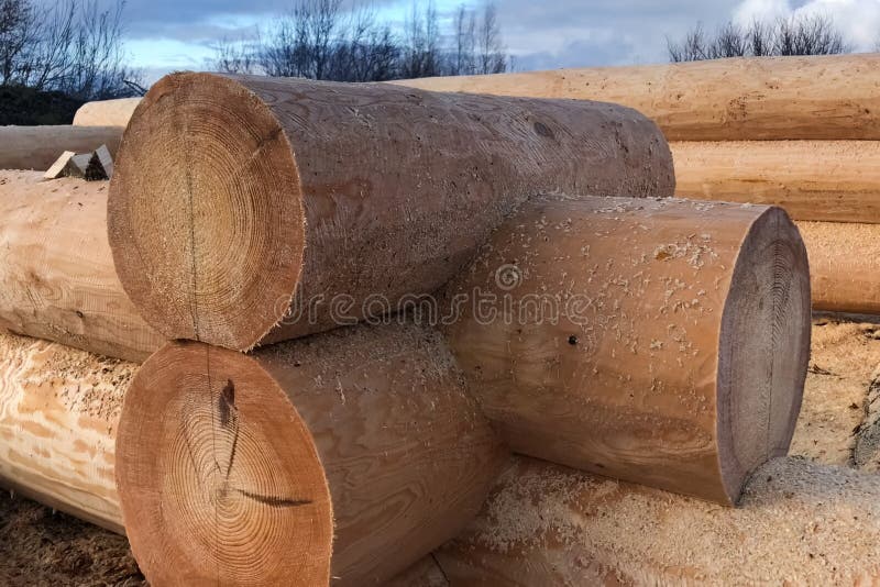 Drying and Assembly of Wooden Log House at a Construction Base Stock ...