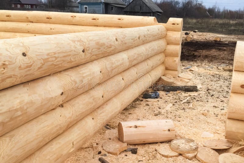 Drying and Assembly of Wooden Log House at a Construction Base Stock ...