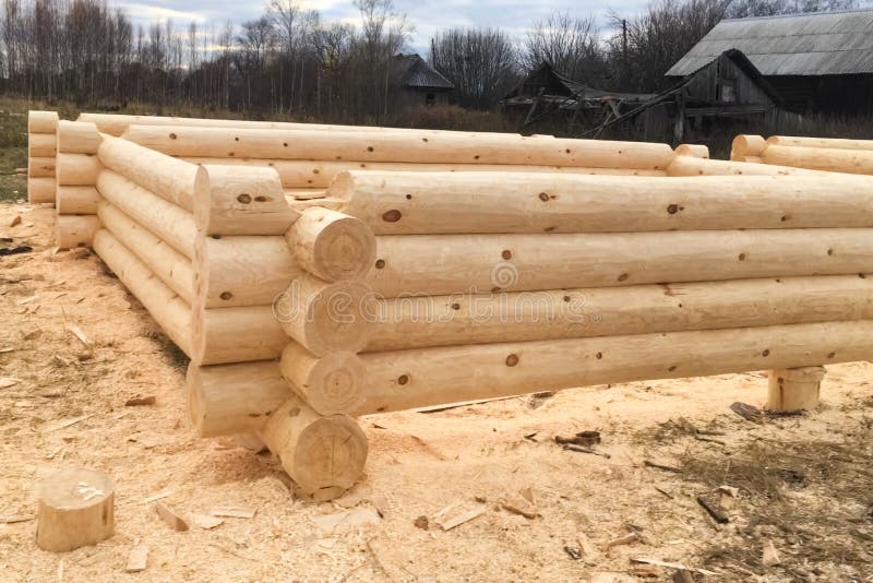 Drying and Assembly of Wooden Log House at a Construction Base Stock ...