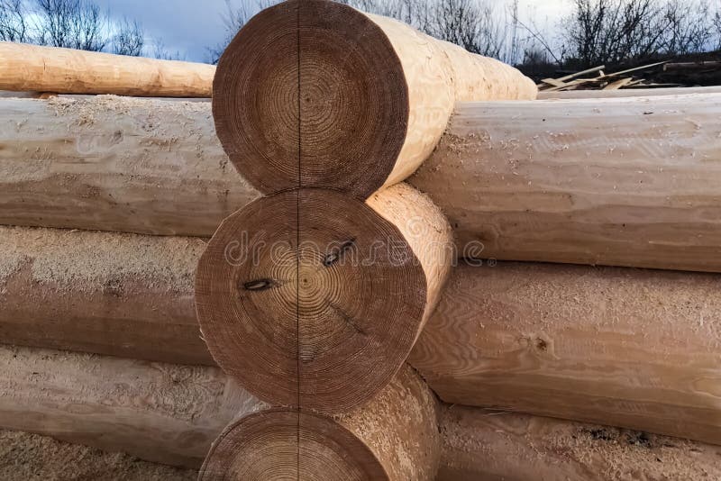 Drying and Assembly of Wooden Log House at a Construction Base Stock ...
