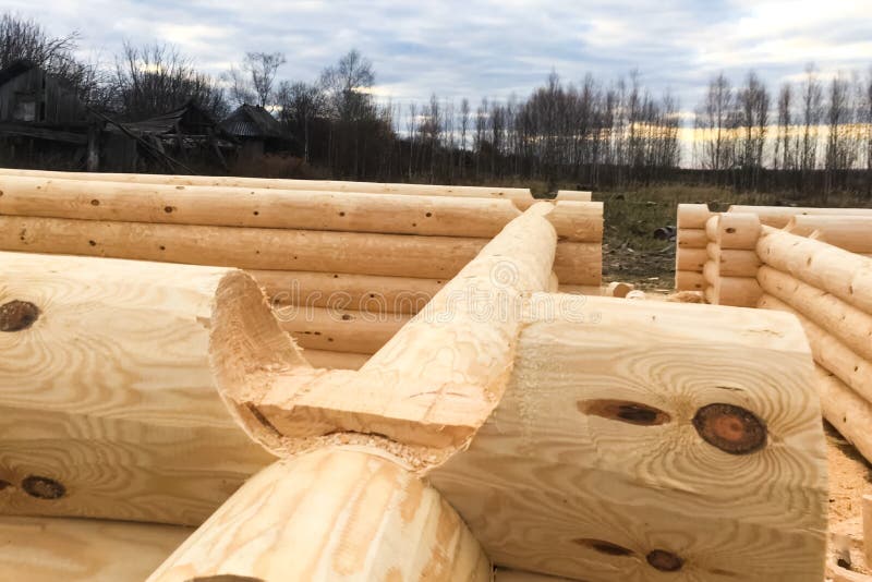 Drying and Assembly of Wooden Log House at a Construction Base Stock ...