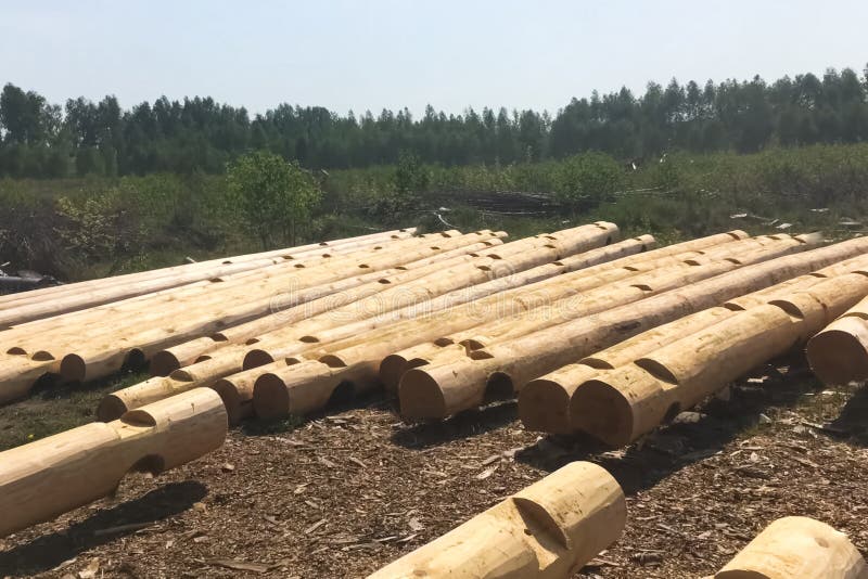 Drying and Assembly of Wooden Log House at a Construction Base Stock ...