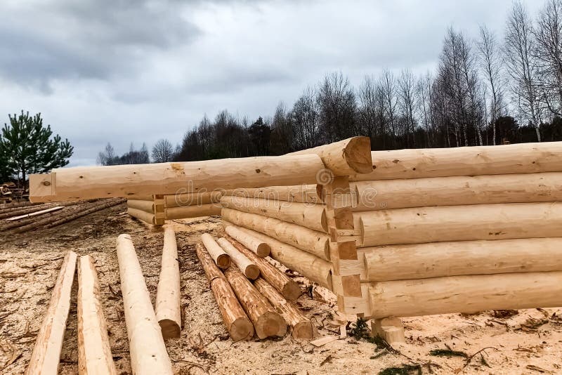 Drying and Assembly of Wooden Log House at a Construction Base Stock ...