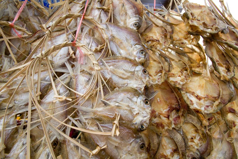 Drying carp fish stock image. Image of tied, meat, background - 51817523