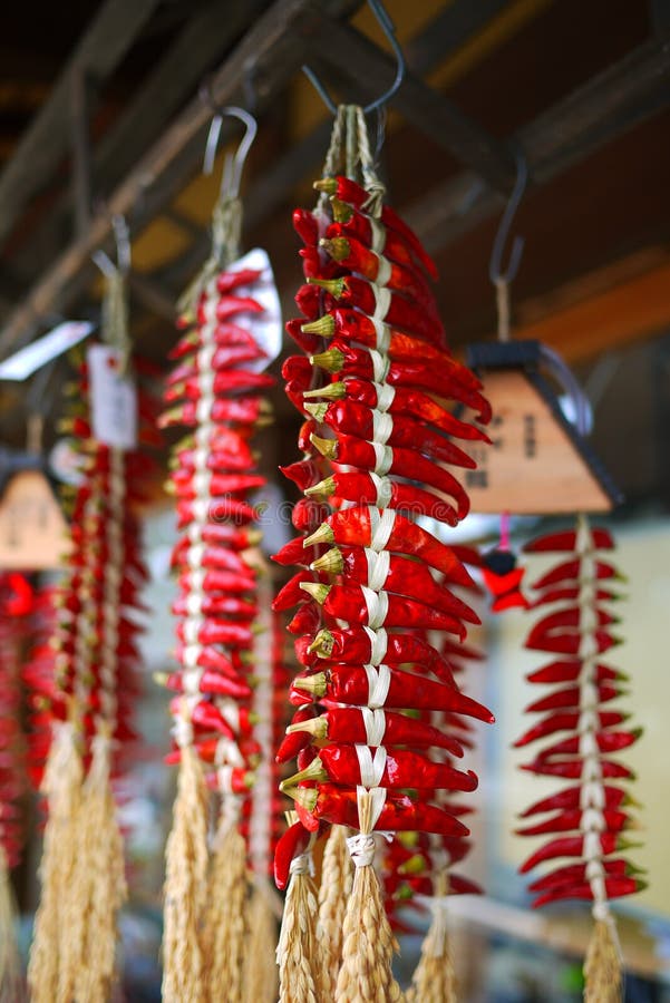 Drying chilli stock photo. Image of ingredient, culture - 96650950