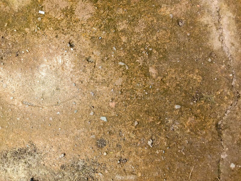 Drying Clay Surface Texture Stock Photo - Image of green, rock: 227847846