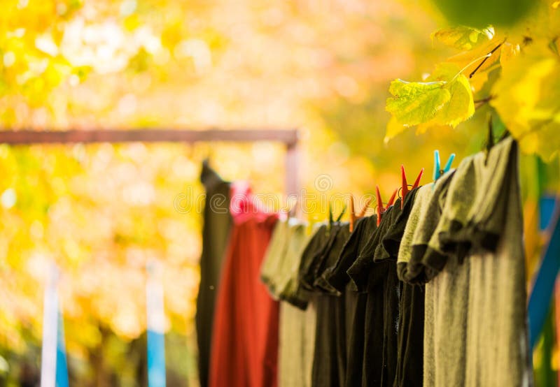 Clothes Drying Rope Trees Autumn Stock Photos - Free & Royalty-Free ...