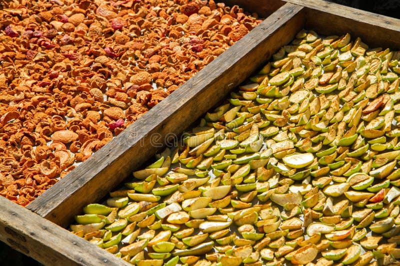 Drying Dried Fruits in the Sun Stock Image - Image of groups, sliced ...