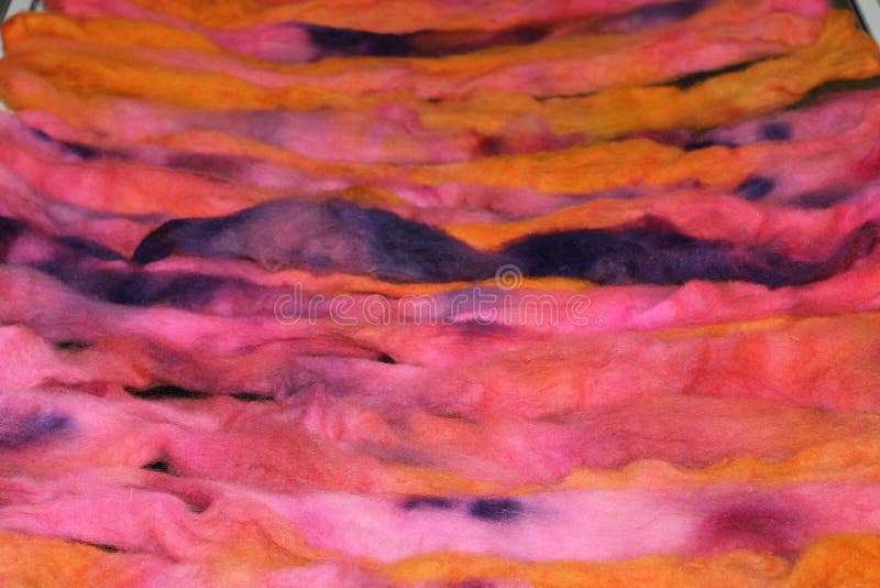 Drying dyed sheep wool stock photo. Image of felted, fiber - 86095116