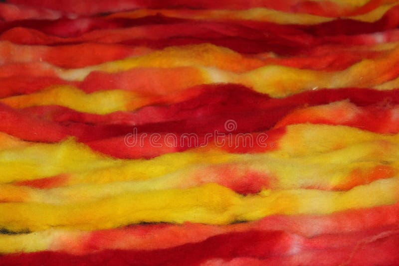 Drying dyed sheep wool stock photo. Image of arts, felting - 86095262