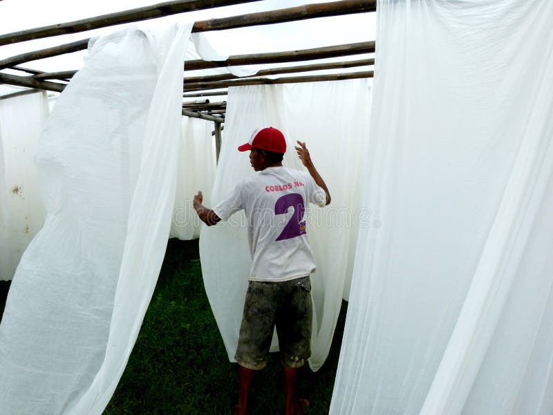 Drying fabrics editorial photography. Image of sukoharjo - 66568352