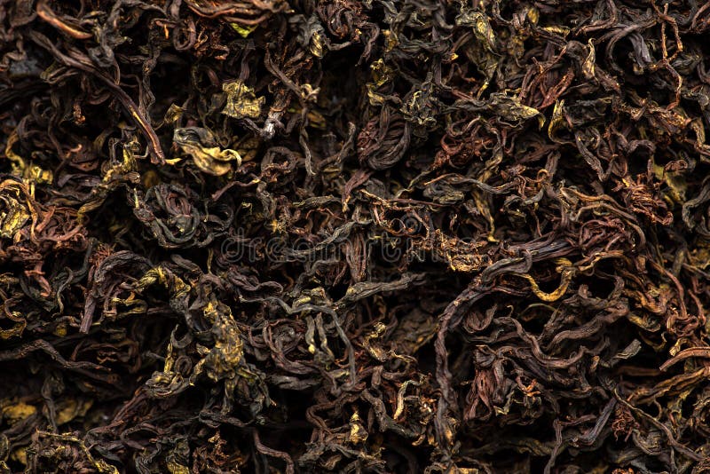 Drying and Fermentation of Tea Willow Stock Photo - Image of textured ...