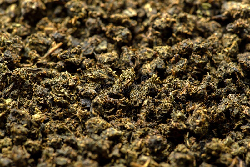 Drying and Fermentation of Tea Willow Stock Image - Image of healthy ...