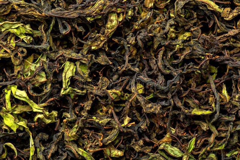 Drying and Fermentation of Tea Willow Stock Photo - Image of view ...