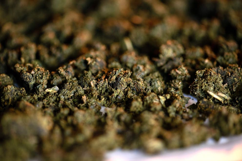 Drying and Fermentation of Tea Willow Stock Image - Image of abstract ...