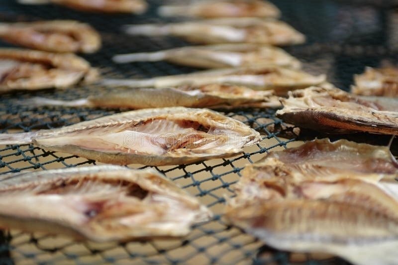 Drying fish stock photo. Image of drying, bones, food - 4228650