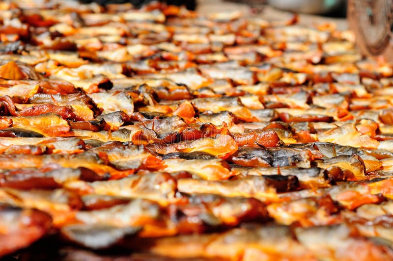 Drying Raw Fish stock image. Image of natural, prepared - 218664861