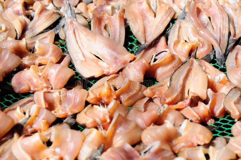 Drying Raw Fish stock image. Image of natural, orange - 218664867