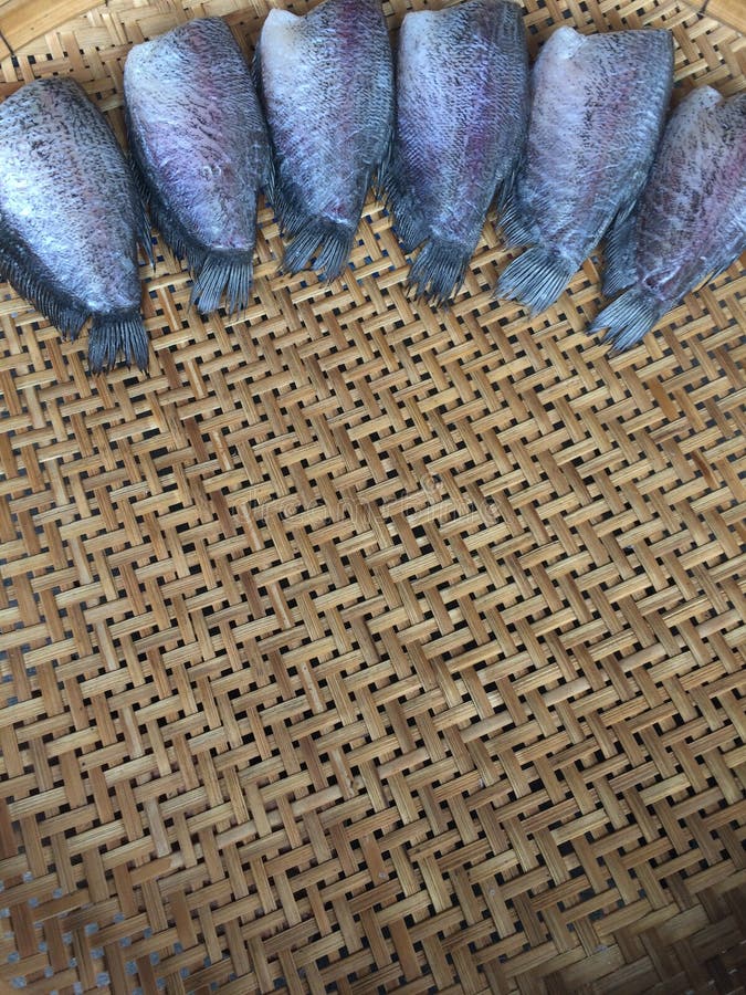 Drying fish stock photo. Image of grilled, food, tuna - 84233866