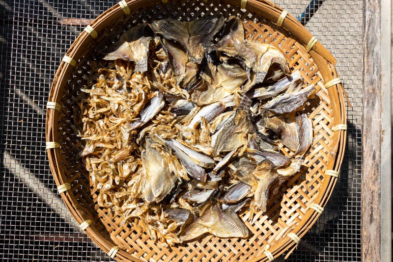Drying Fish is Process To Preserving Food. Stock Image - Image of ...