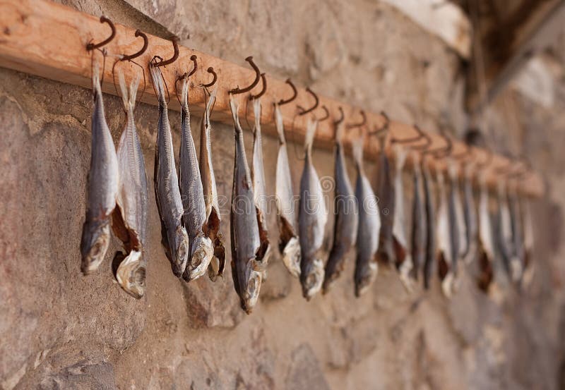 Drying fish stock image. Image of fish, saltsea, bulgarian - 44246327