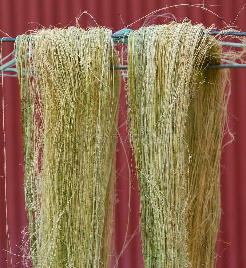 Flax Fiber Texture stock photo. Image of threads, texture - 32995448