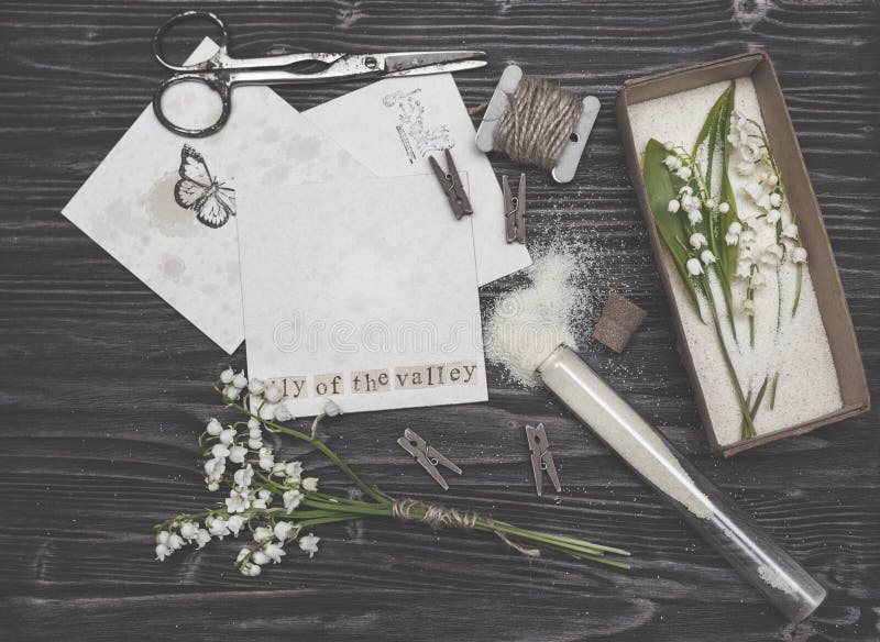 Table with Herbarium Making Tools. Vintage Handcraft Notes. Lily of the ...