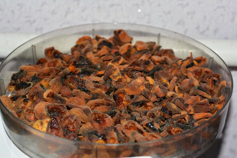 Drying Fruits in Dehydrator. Dehydrate Apricots Stock Photo - Image of ...