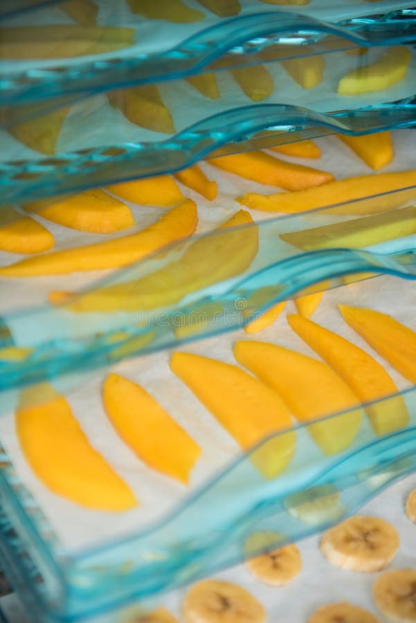 Drying Fruits in the Drying Machine Stock Photo - Image of sweet, chips ...