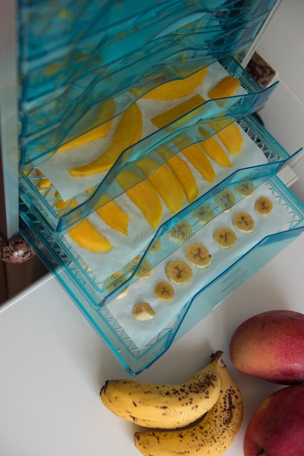 Drying Fruits in the Drying Machine Stock Photo - Image of dried ...