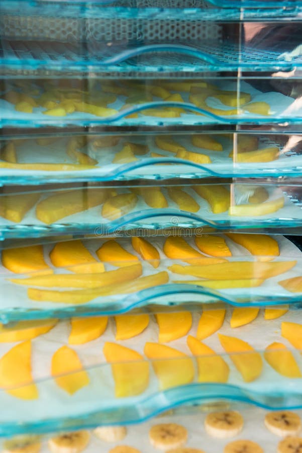 Drying Fruits in the Drying Machine Stock Photo - Image of drying ...