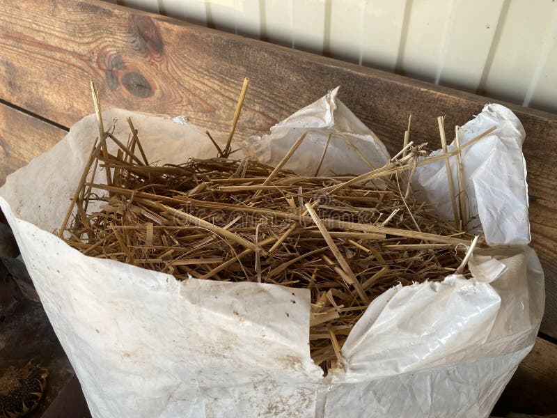 Drying Hay in a Fertilizer Bag Stock Image - Image of rural, farmer ...