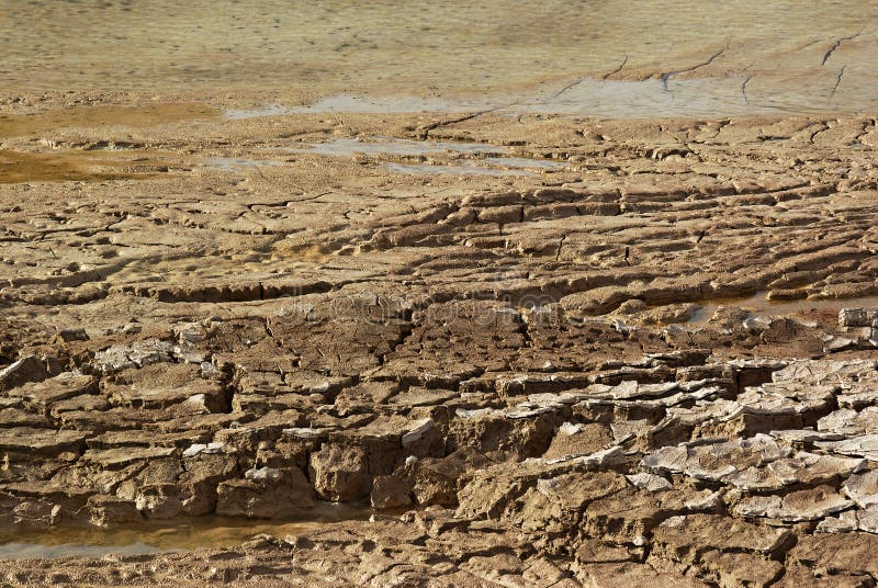 Drying lake stock image. Image of people, lake, pond - 294544023