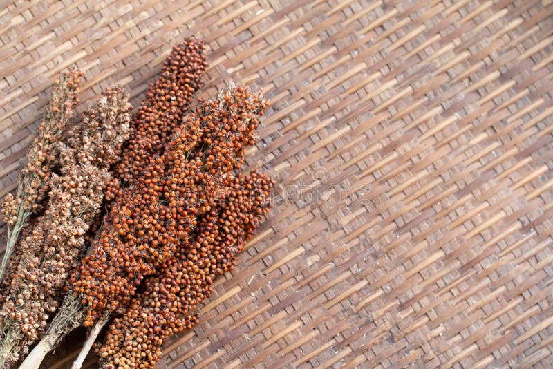 Drying Millet Twigs on Bamboo Table Background Dried Process Stock ...