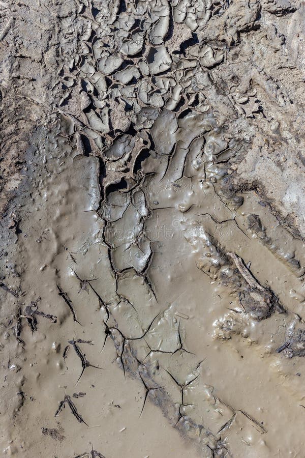 Drying Mud for Use As a Background. Stock Image - Image of sand, land ...