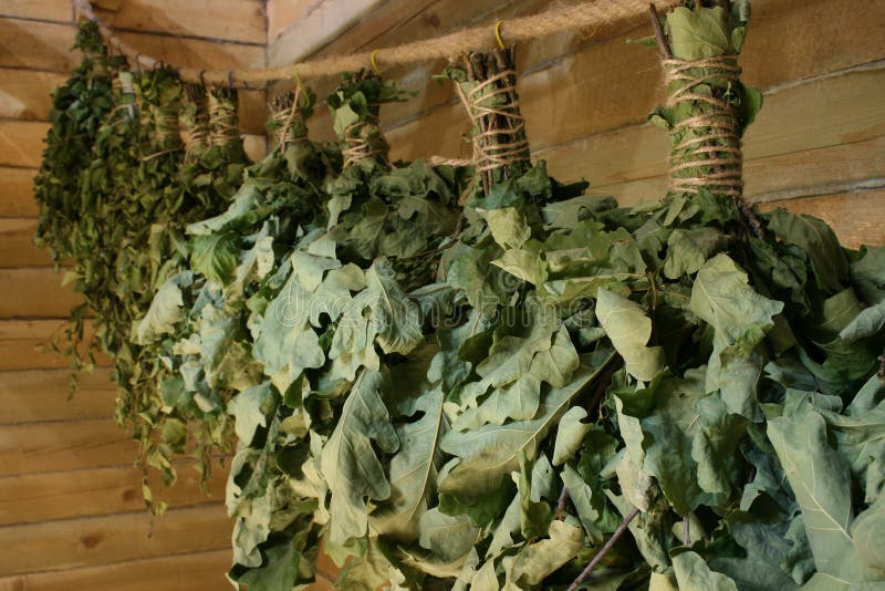 Drying oak brooms stock image. Image of sheet, drying - 43068925