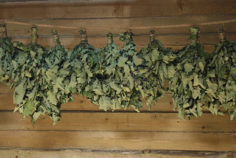 Drying Oak Brooms Stock Photos - Free & Royalty-Free Stock Photos from ...