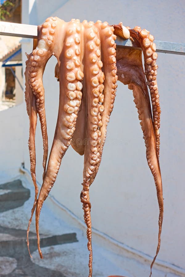 Drying the Octopus in the Sun Stock Image - Image of healthy, aegina ...