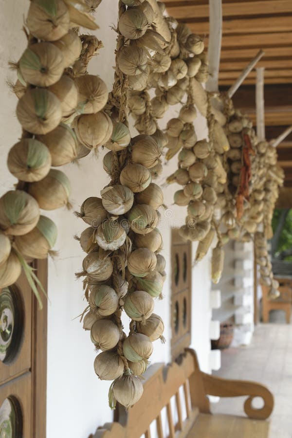 Drying onions stock image. Image of love, house, health - 96046889