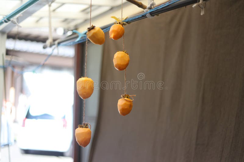 Drying persimmons stock photo. Image of hanging, outdoors - 344474544