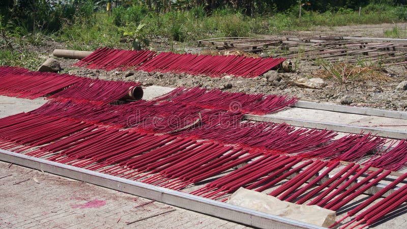Drying red incense stock image. Image of coloring, soil - 279346221
