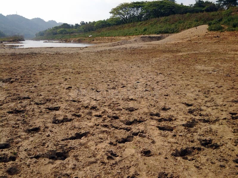 The River Drying Up By Autumn In Yellowstone Stock Image - Image of ...