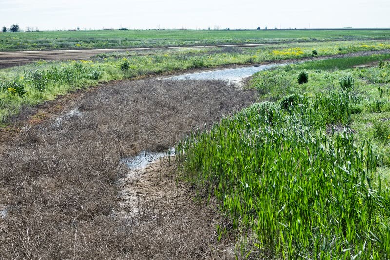 A Drying River in the Spring Steppe Stock Photo - Image of dirt ...