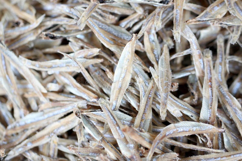 Drying Sea Fish in Preservation of Foods. Stock Photo - Image of cook ...