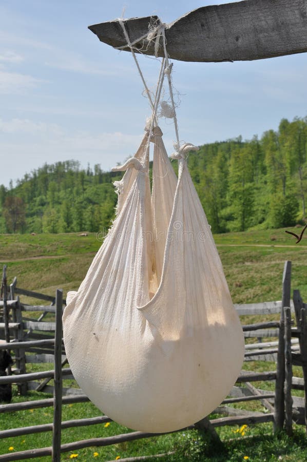 Drying traditional cheese stock image. Image of cloth - 55178395