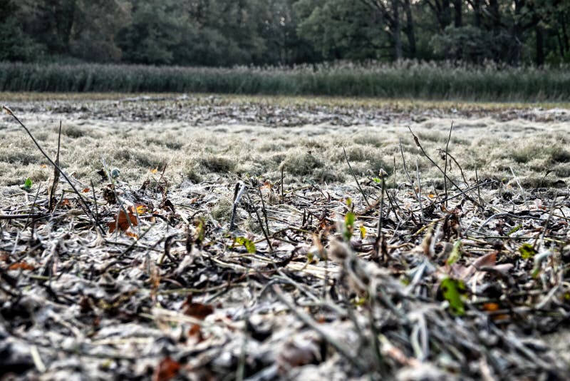Drying up the lake stock image. Image of dirt, intermittent - 229158727