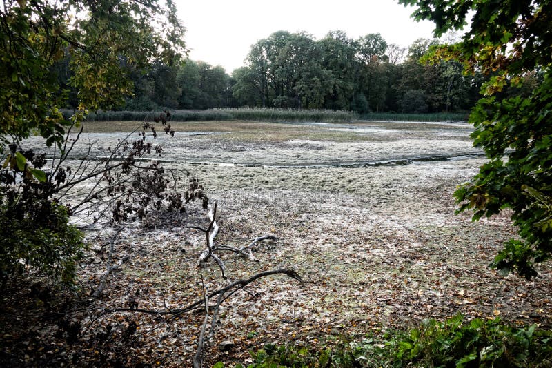 Drying up the lake stock image. Image of aridization - 229158747
