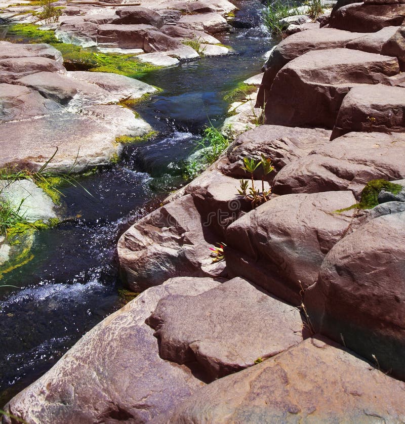 The Drying-up Stream in Park Banff Stock Image - Image of sunny ...